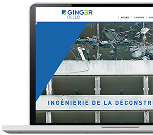 Groupe Ginger : DELEO